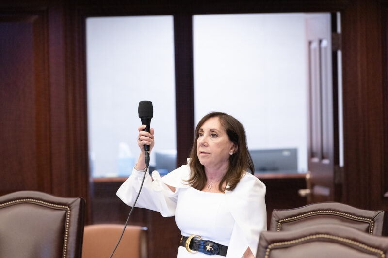 Lori Berman - Democrat for State Senate