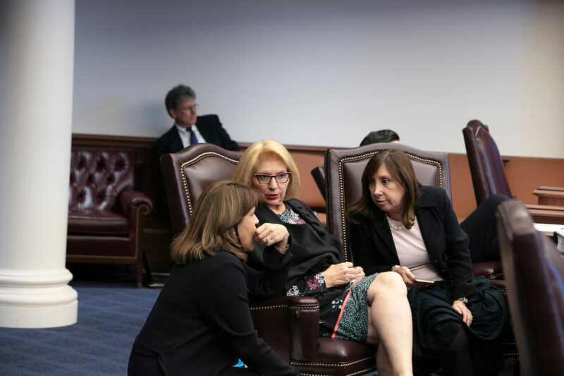 Lori Berman - Democrat for State Senate